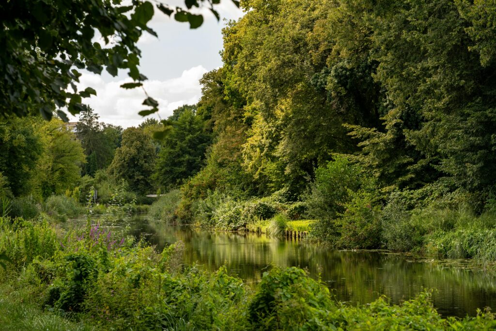 A $6 billion Data Center In A Town Of 5,000 People - Climate Crisis 247